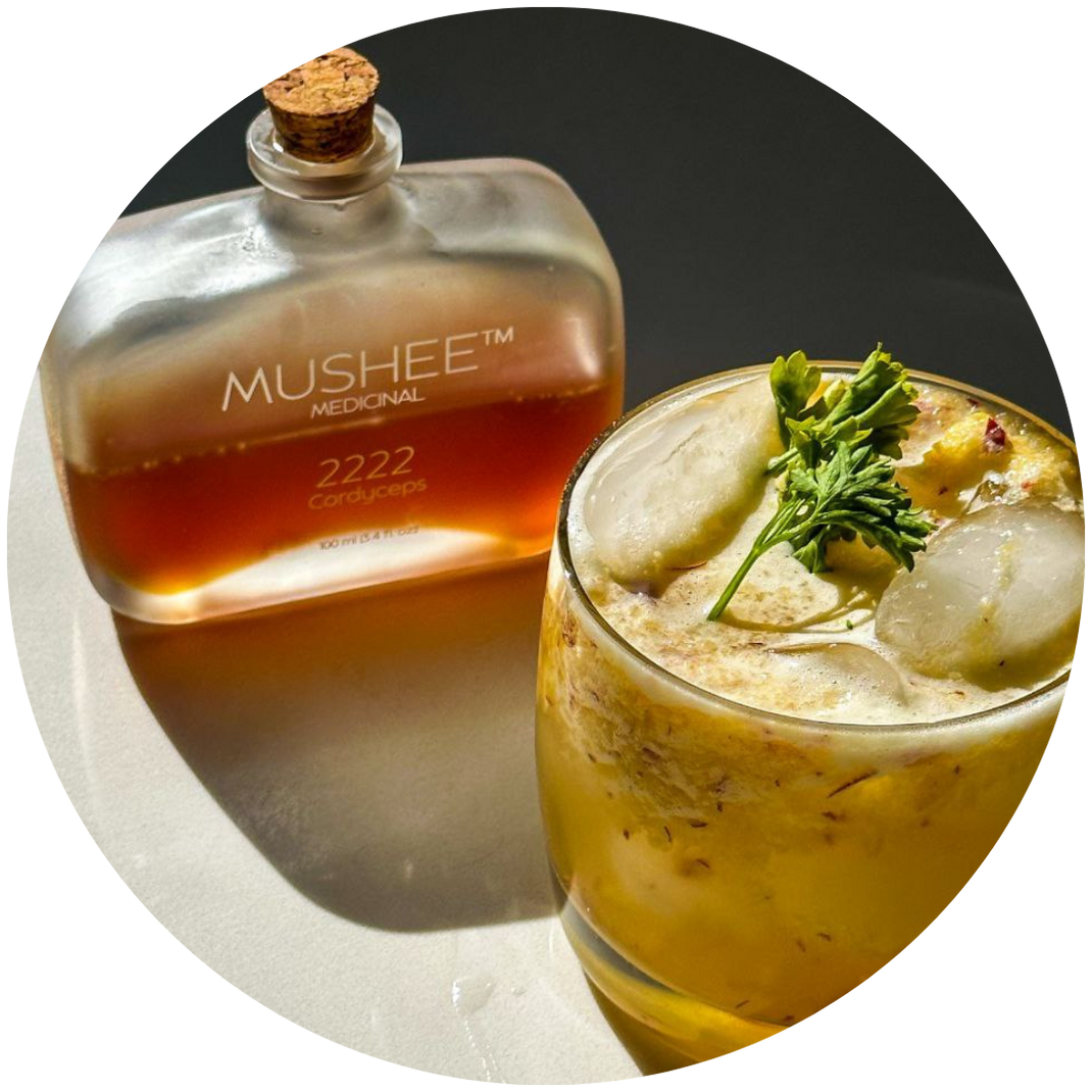 Mushee Medicinal | Functional Mushrooms #Mushroom Therapies – mushee